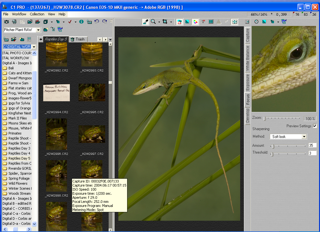 Editing in Capture One RAW Conversion Program